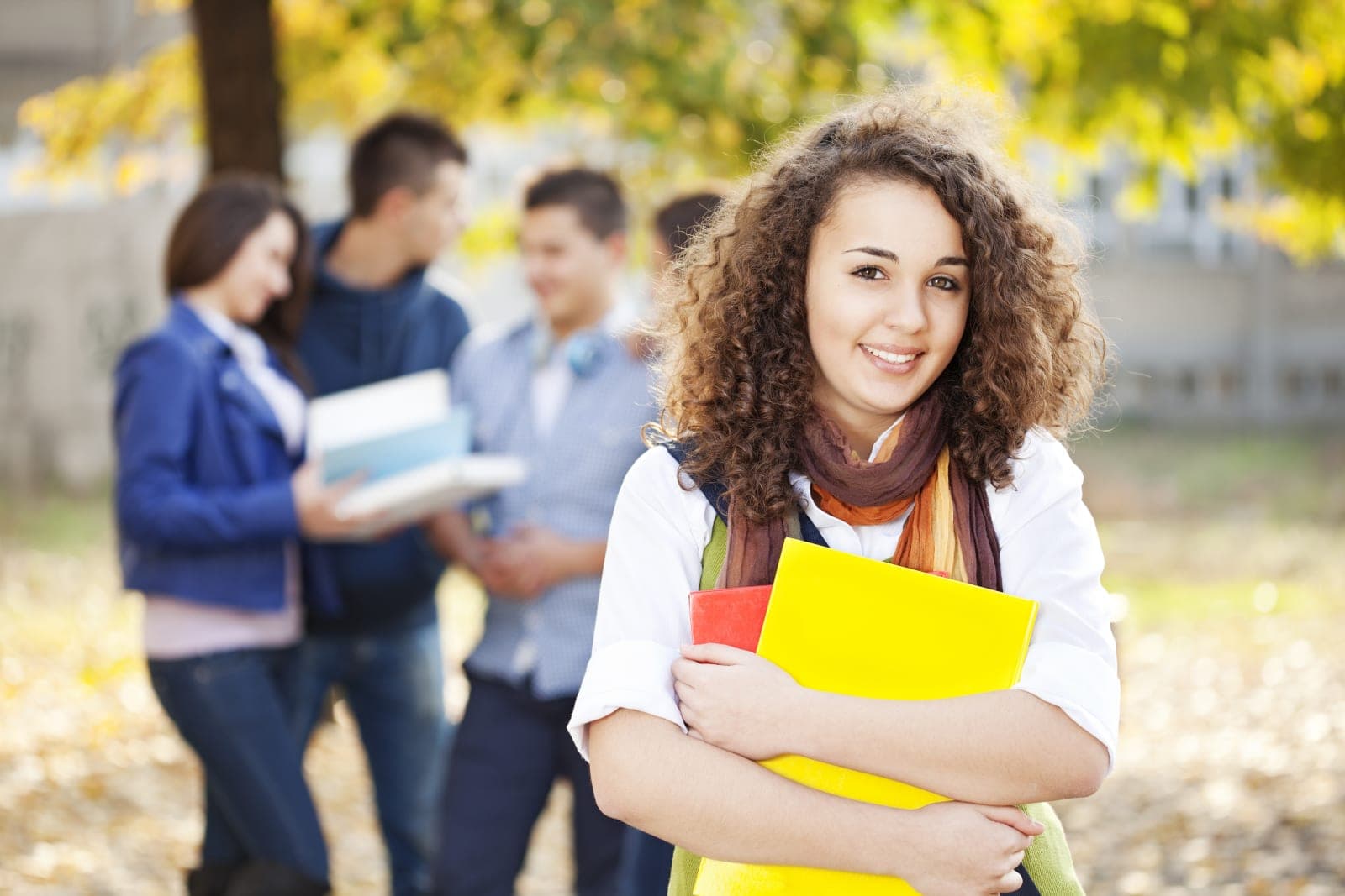 What is an Associate of Arts (AA) Degree?